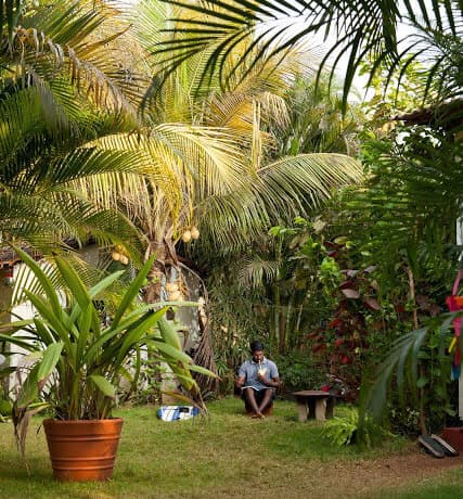 Surf Wala - Surfing Goa - Beachfront Surf Lessons and Rentals