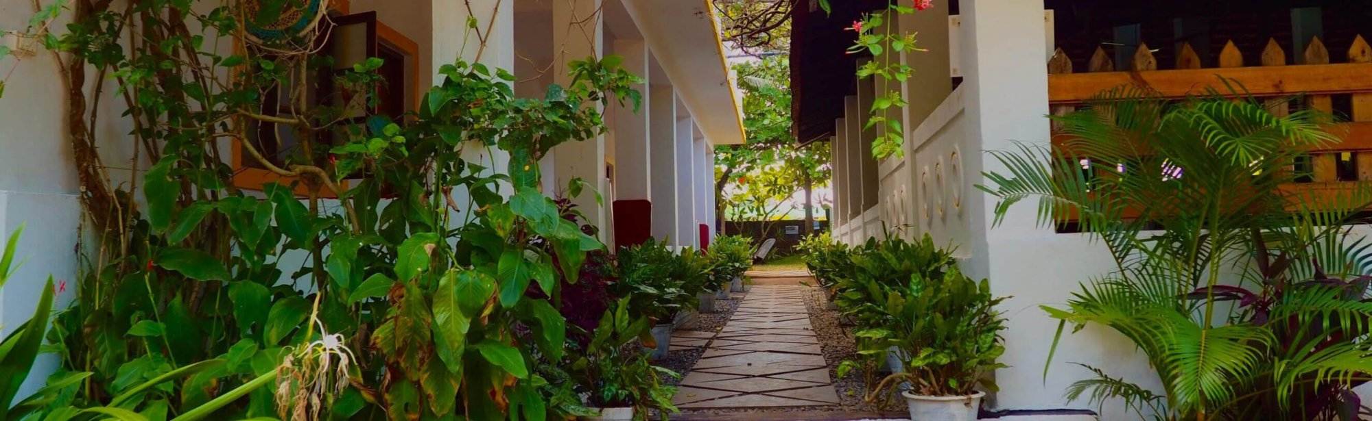 Surf Wala - Beachfront Accommodation in Goa - Surf Holidays